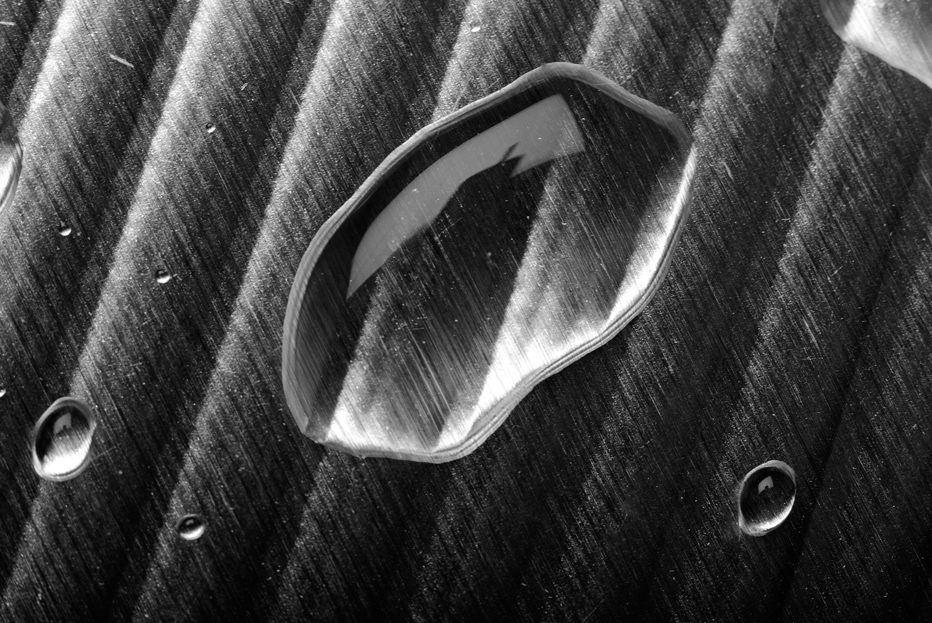 Macro Close-up Photography | Bruce Rohr Photography Commercial Photographer