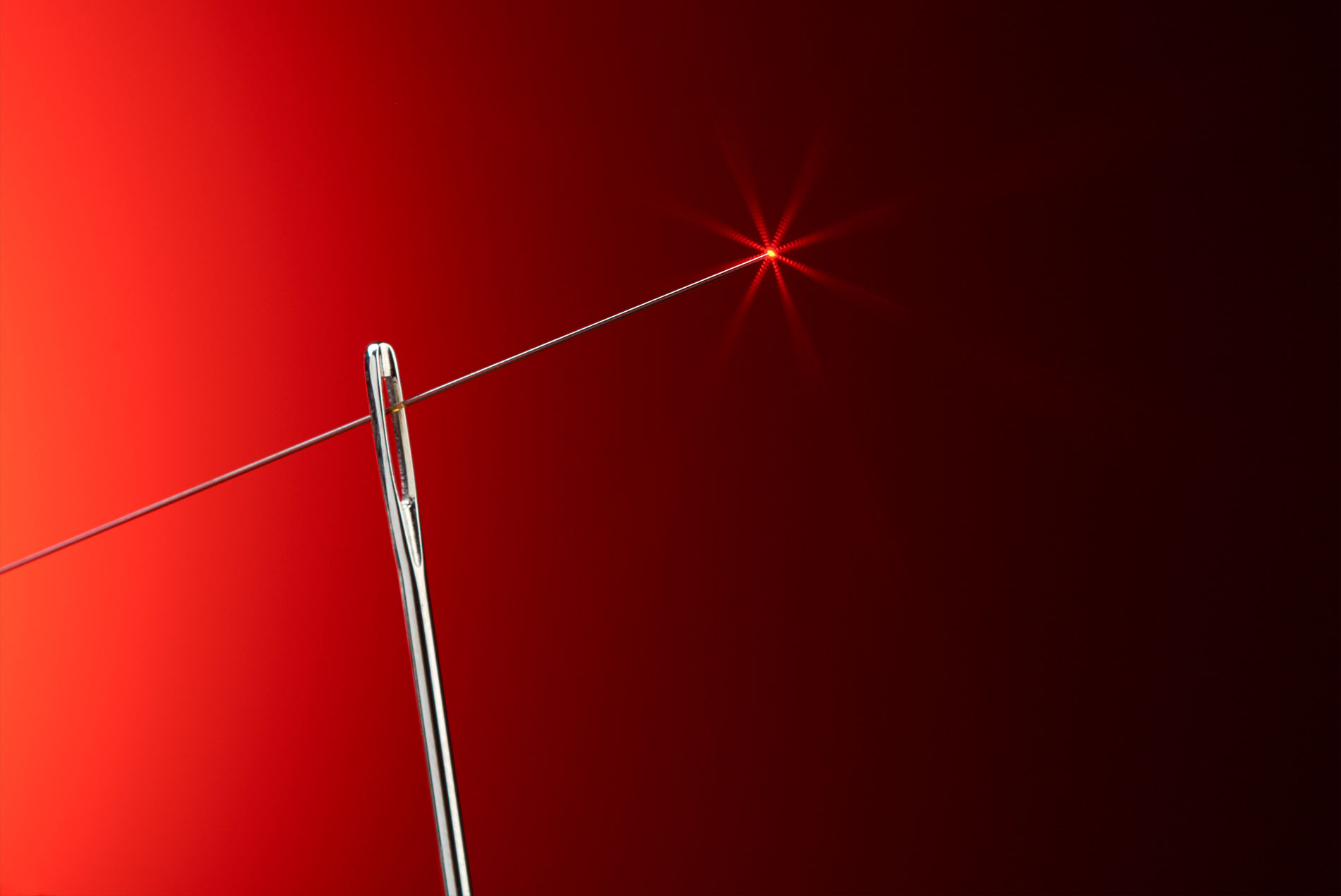 Macro Close-up Photography | Bruce Rohr Photography Commercial Photographer