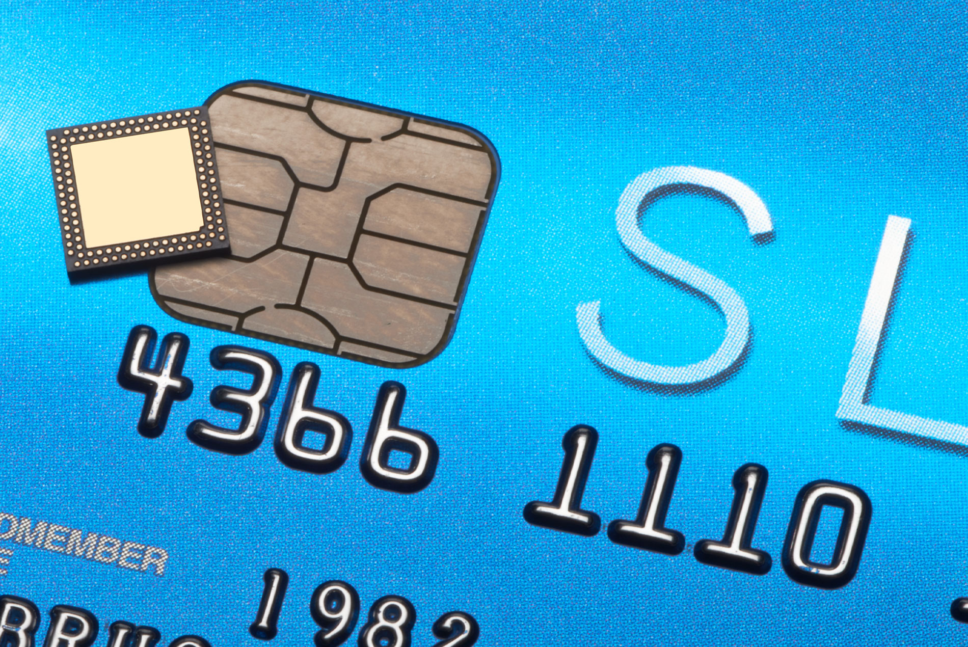 Macro Close-up Photography | Bruce Rohr Photography Commercial Photographer