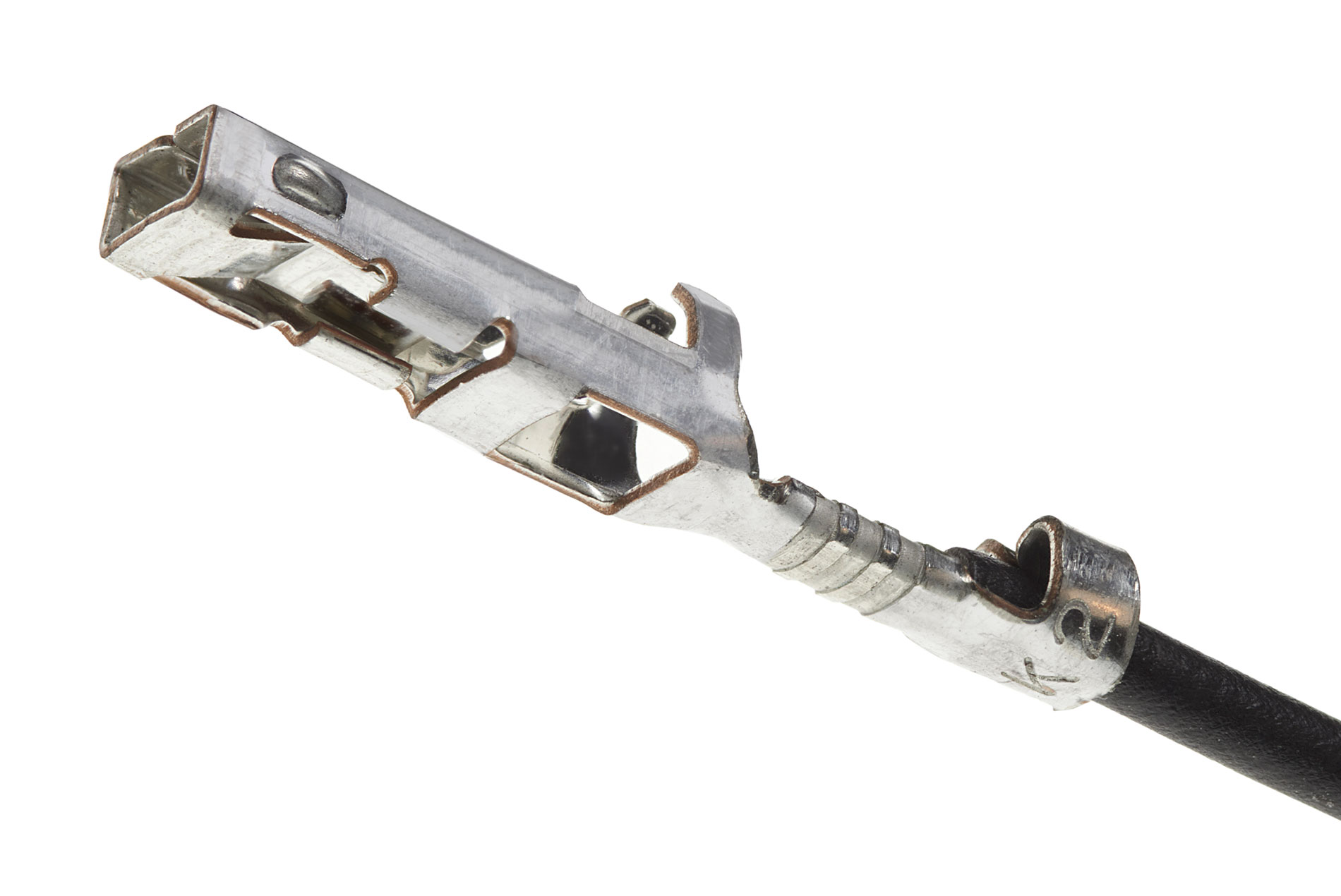 Macro Close-up Photography | Bruce Rohr Photography Commercial Photographer