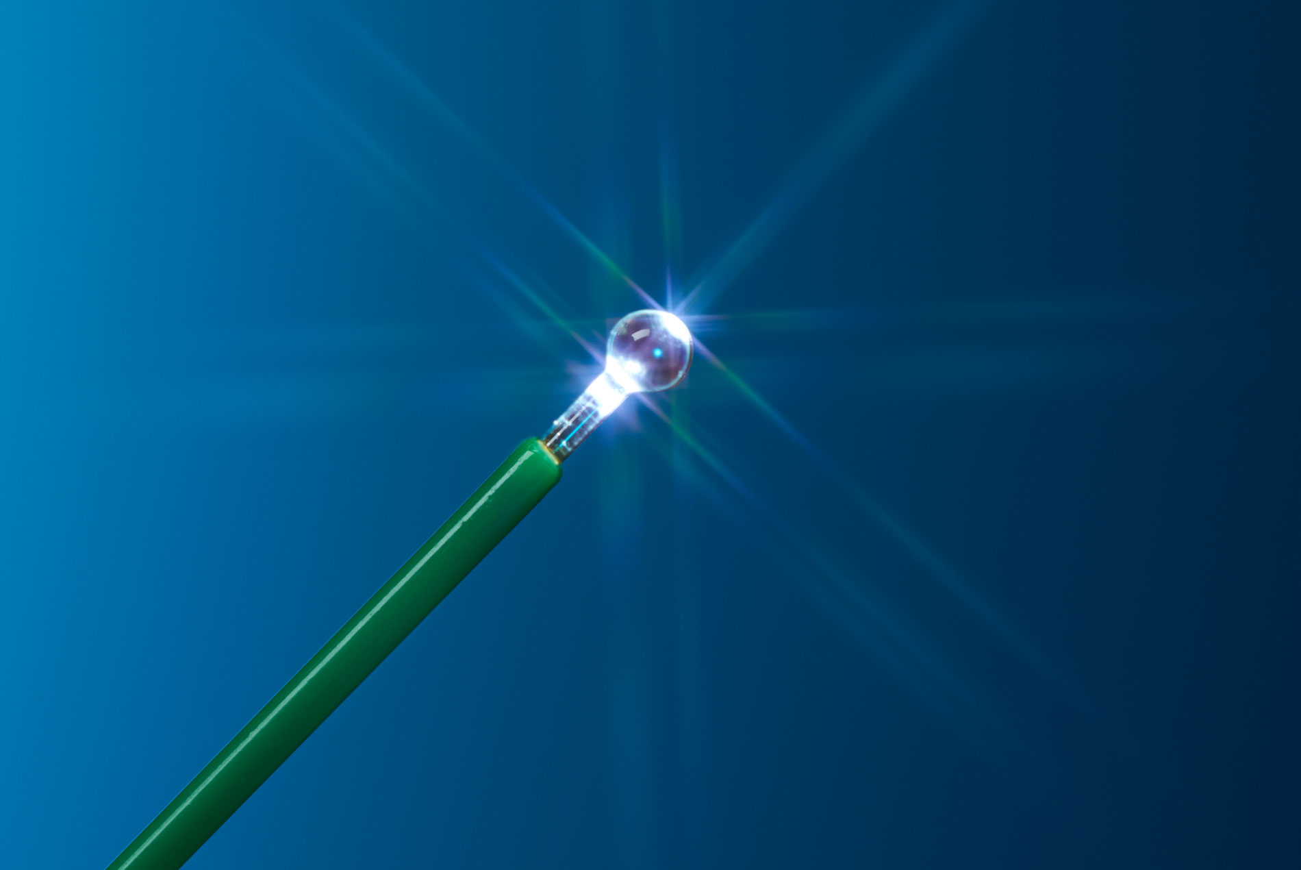 Macro Close-up Photography | Bruce Rohr Photography Commercial Photographer