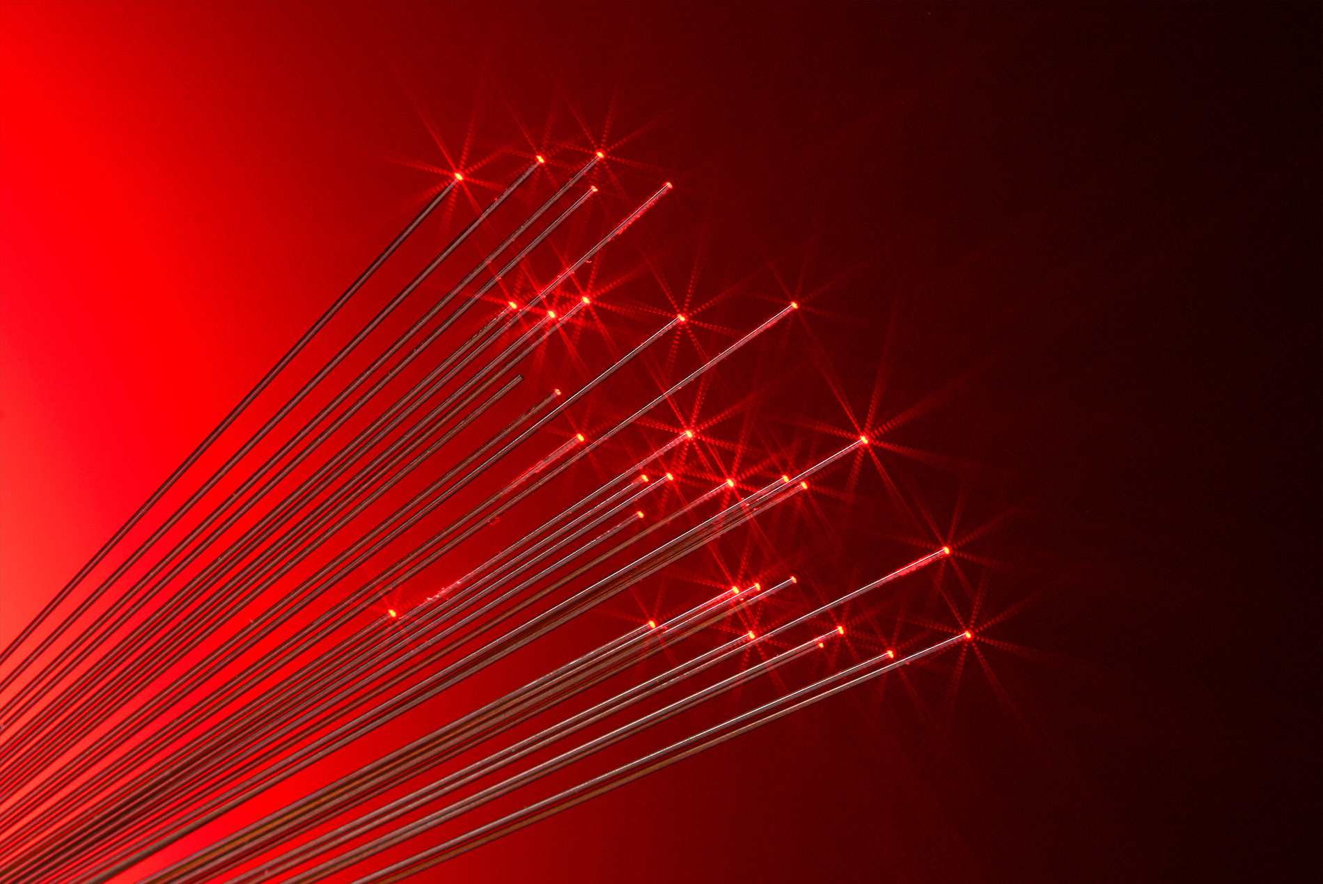 Macro Close-up Photography | Bruce Rohr Photography Commercial Photographer