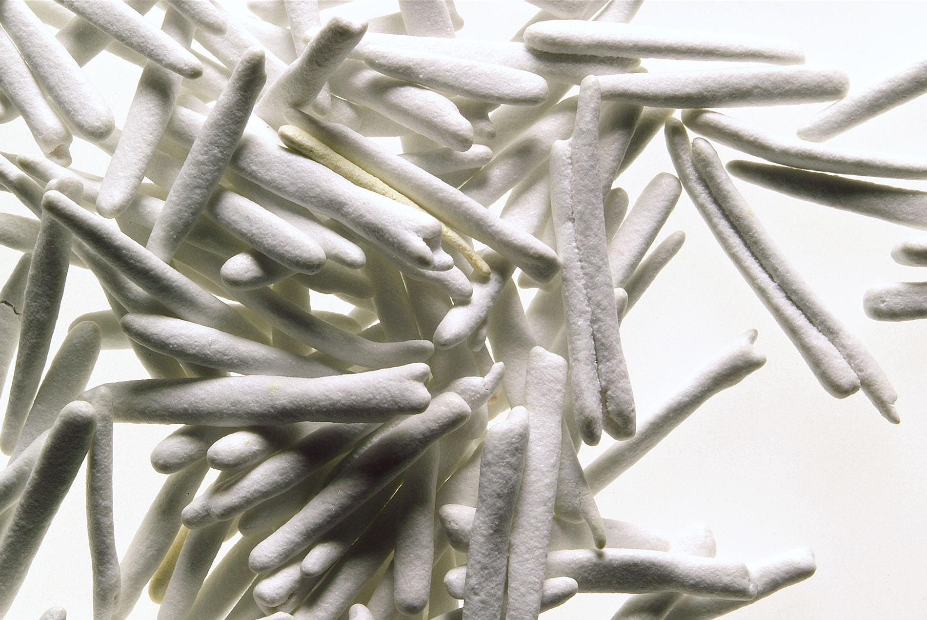 Macro Close-up Photography | Bruce Rohr Photography Commercial Photographer